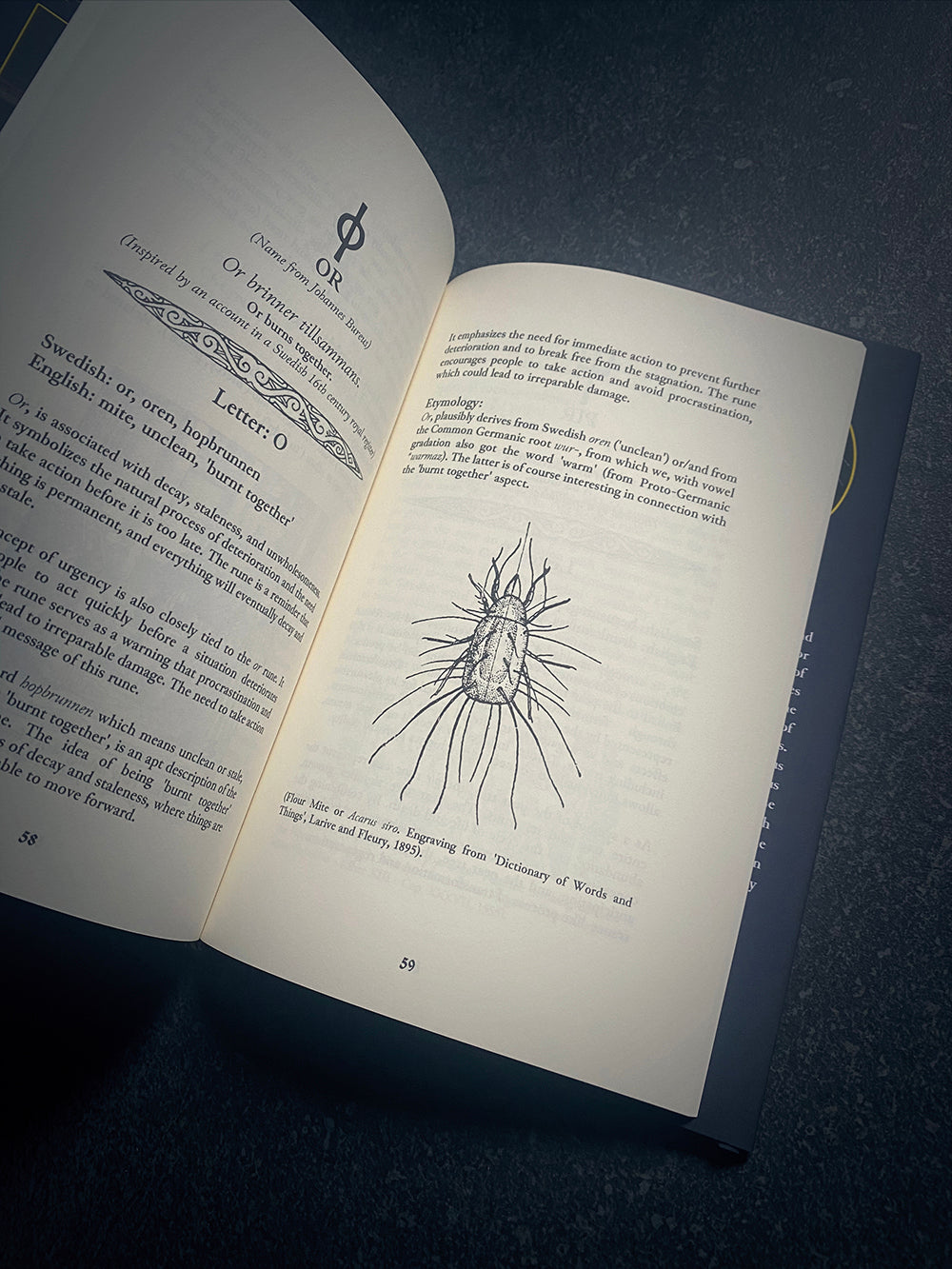 Runes – TORVENIUS