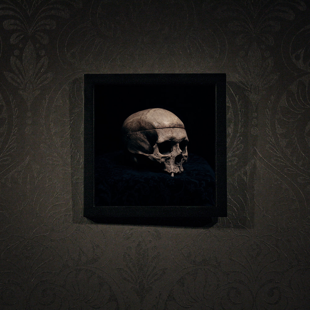 Still life skull, real human skull photography - Square framed poster ...