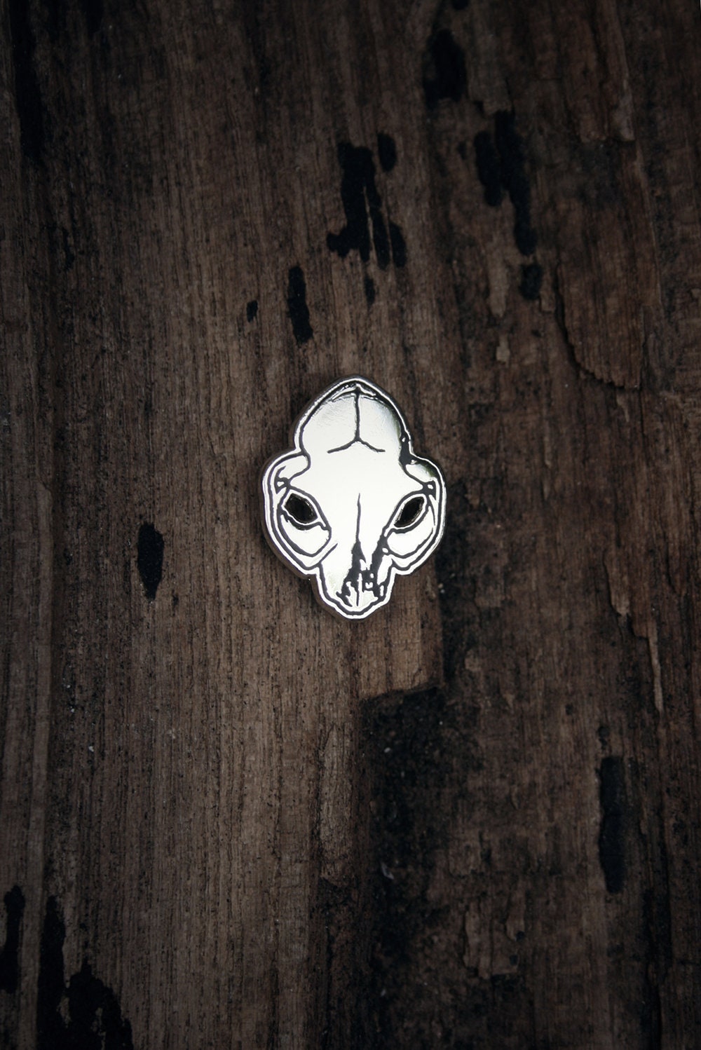 Cat skull - PIN – TORVENIUS